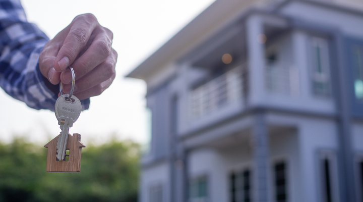 TradeMe seeks to shore up property platform - Inside Retail New Zealand