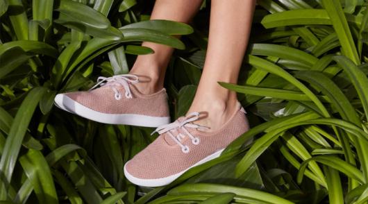 Allbirds changes hands as founders exit in US$39 million sale - Inside ...